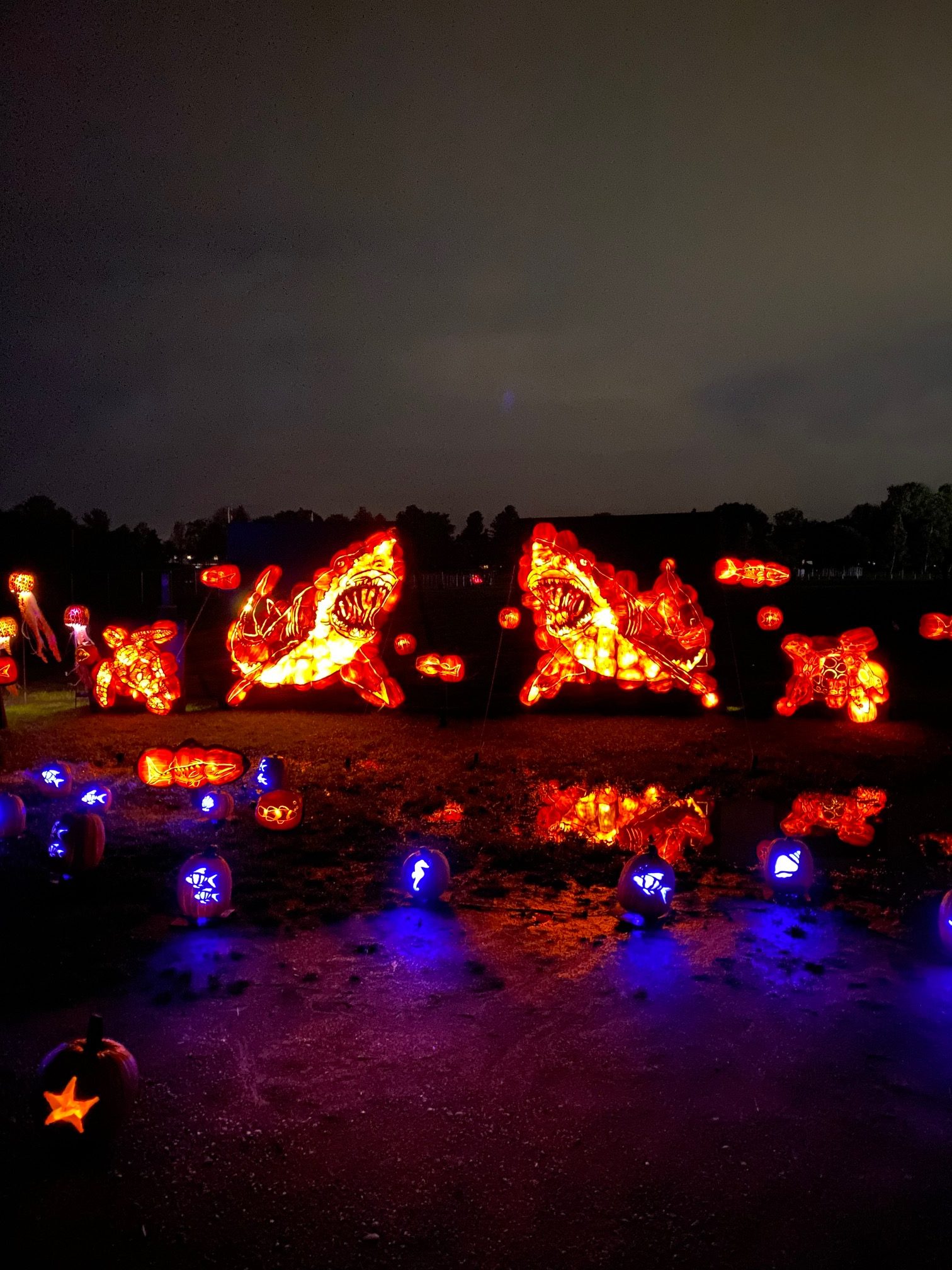 Check out Jack O’Lanterns Unleashed at Ingham County Fair